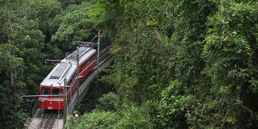 Corcovado Train