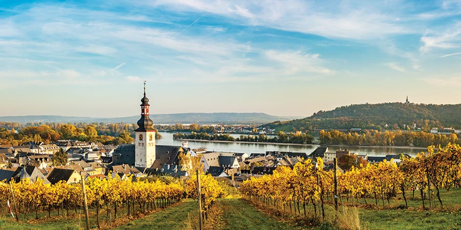 Top of Europe & Highlights of the Rhine Cruise Tour