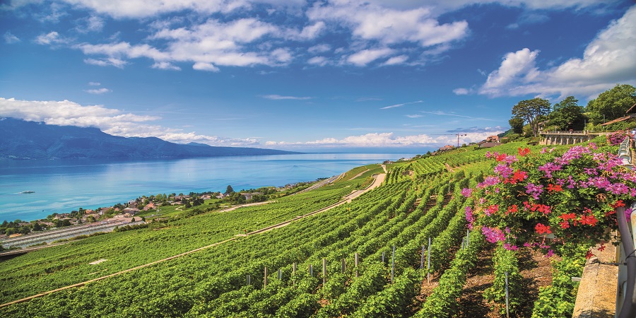 Grand Alpine Explorer & The Classic Blue Danube | Great Rail Journeys