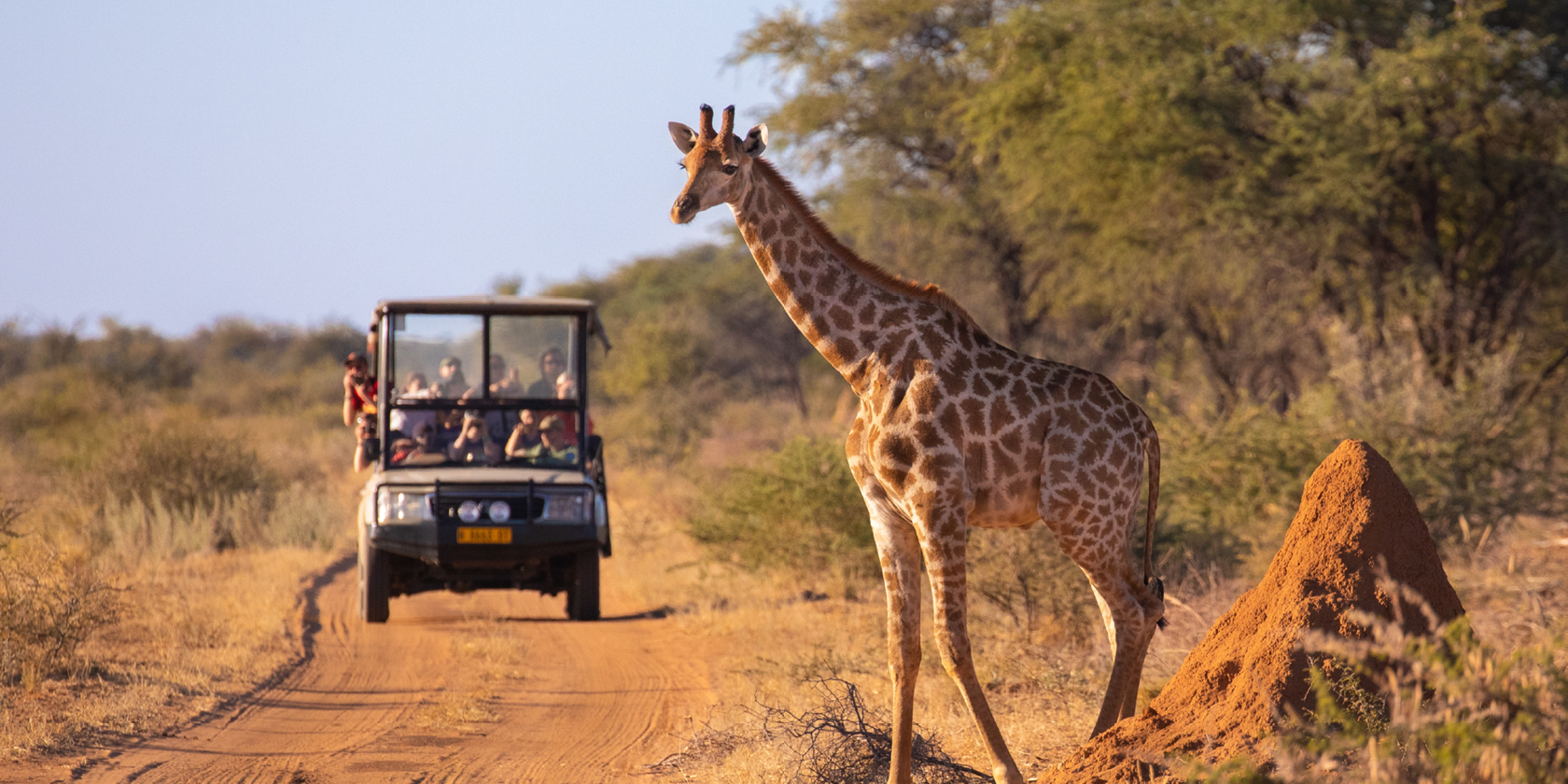 Wildlife Holidays | Great Rail Journeys